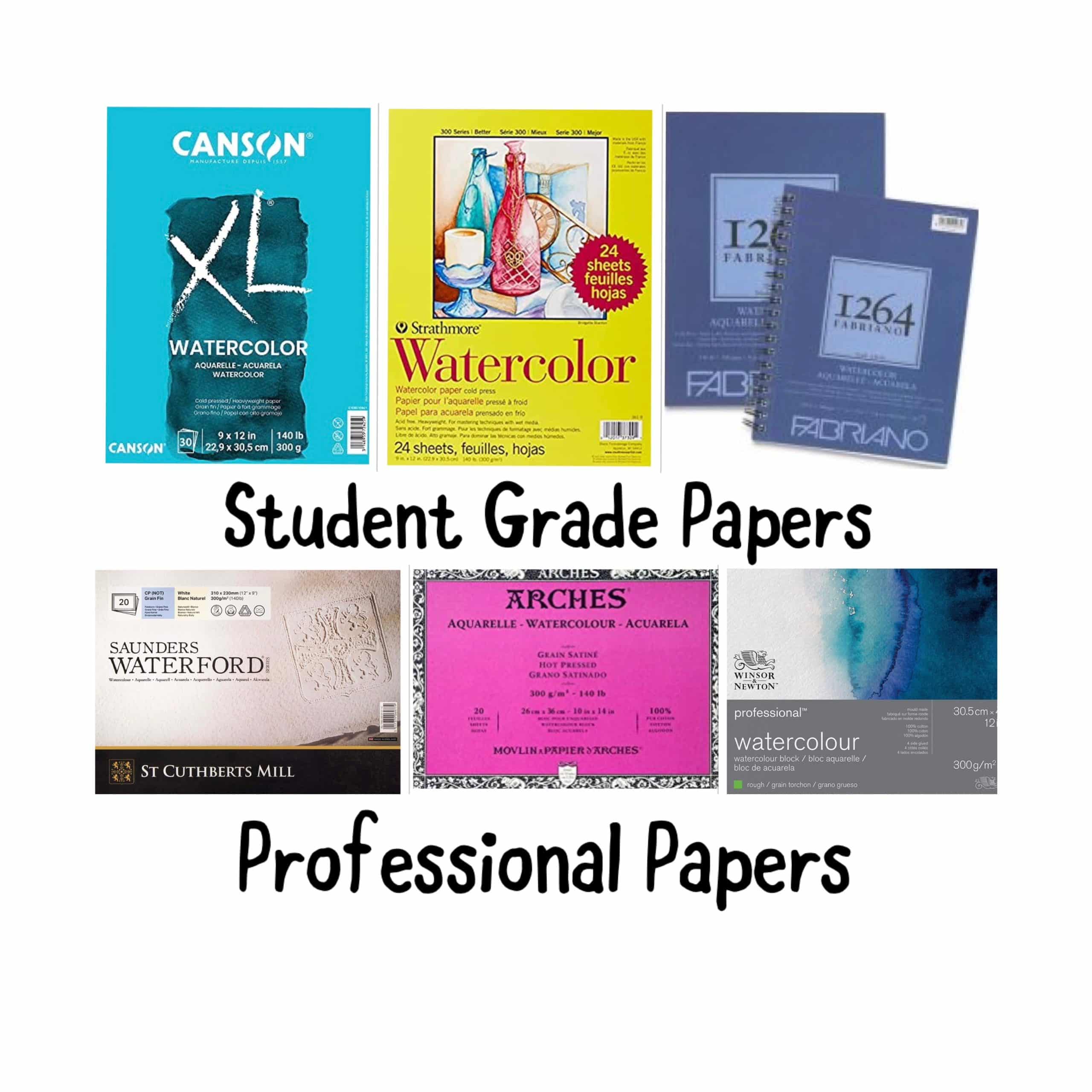 Student vs. Professional Grade Papers - Sarah Whyte